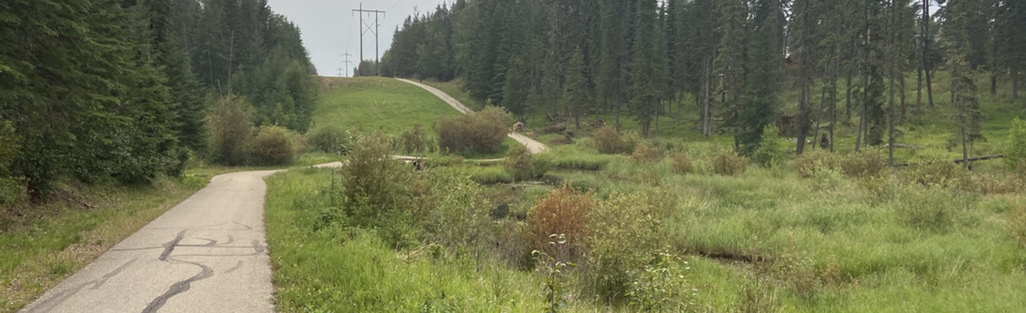 Whitecourt Creek Forest: 47 Reviews, Map - Alberta, Canada | AllTrails