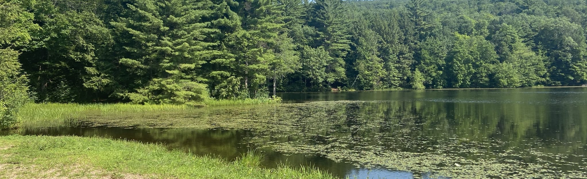 Black Rock and Lithia Springs Loop via Dry Brooks Trail: 252 Reviews ...