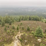 Scolty Hill, Aberdeenshire, Scotland - 102 Reviews, Map | AllTrails