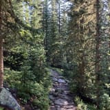 Fancy Pass Trail, Colorado - 259 Reviews, Map | AllTrails