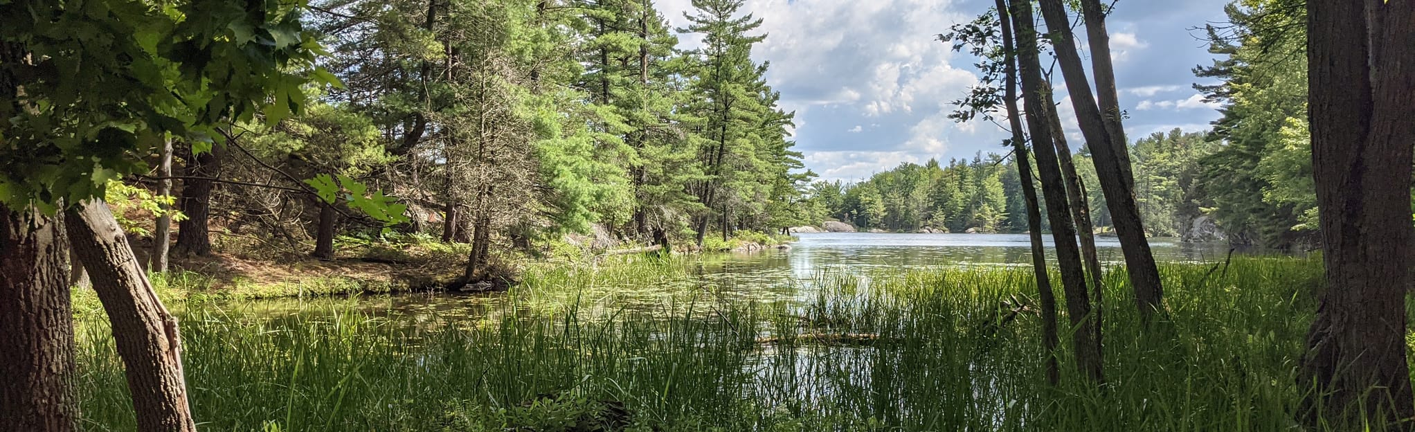 Charleston Lake Campground - Bach's Lookout: 5 Reviews, Map - Ontario ...