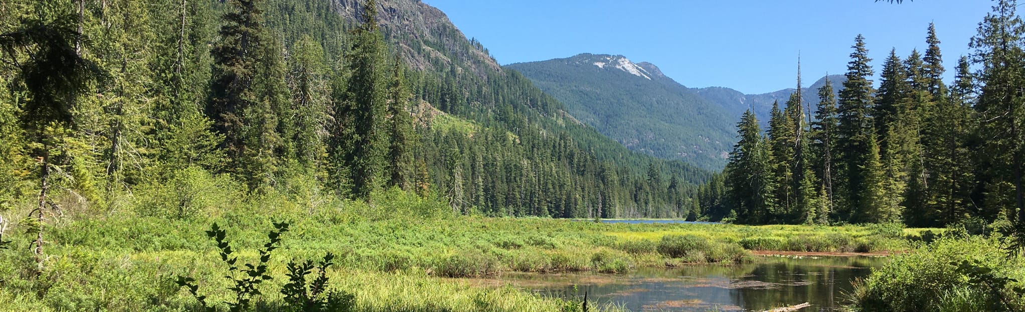 Forest Walk, Antler Lake and Fire Ridge Loop, British Columbia, Canada ...