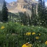 Sharkstooth Pass Trail, Colorado - 157 Reviews, Map | AllTrails