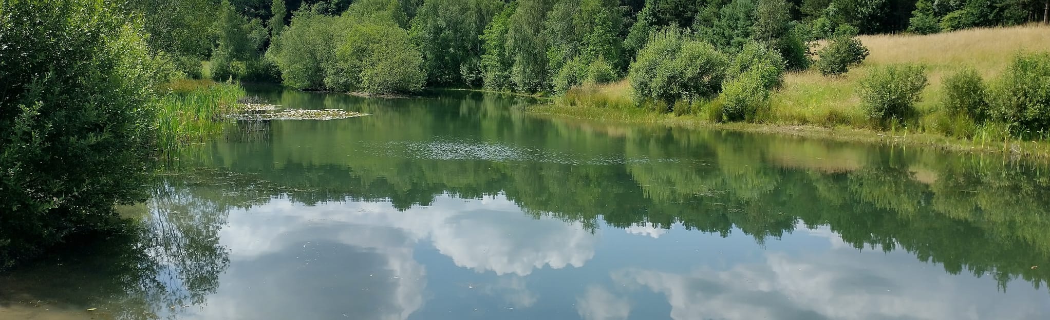 Bevercotes Pit Wood Circular: 43 Reviews, Map - Nottinghamshire ...