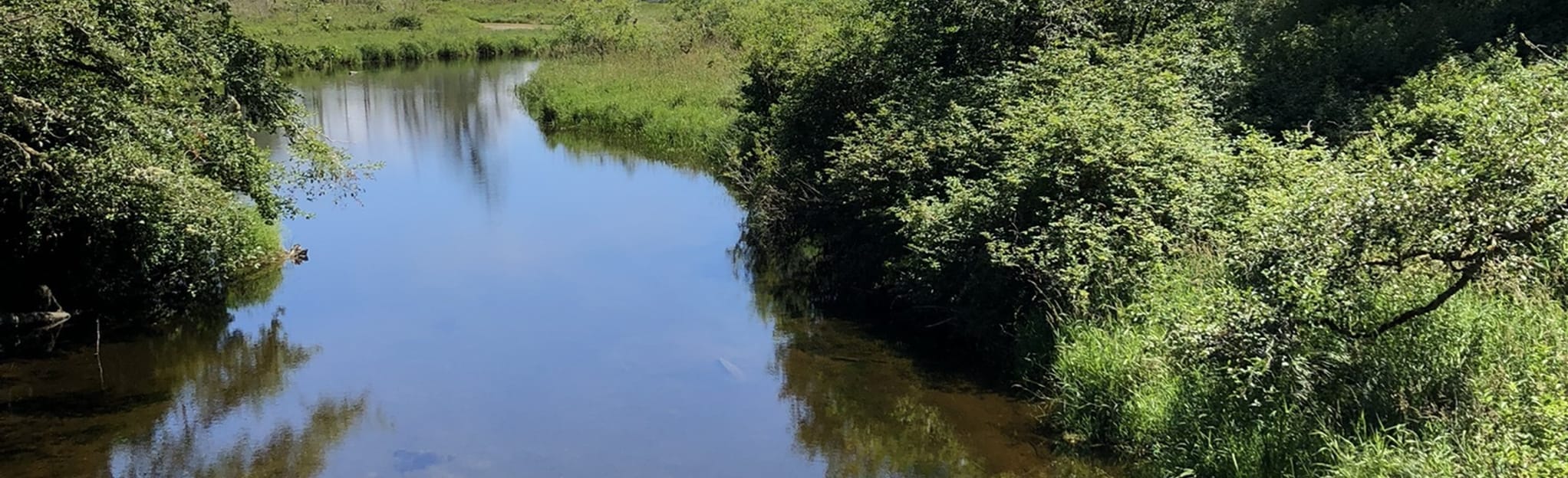 Cape Alava Trail, Washington - 450 Reviews, Map | AllTrails