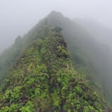 Manana Ridge Trail to Ko'olau Summit, Oahu, Hawaii - 170 Reviews, Map ...