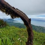 Manana Ridge Trail to Ko'olau Summit, Oahu, Hawaii - 170 Reviews, Map ...