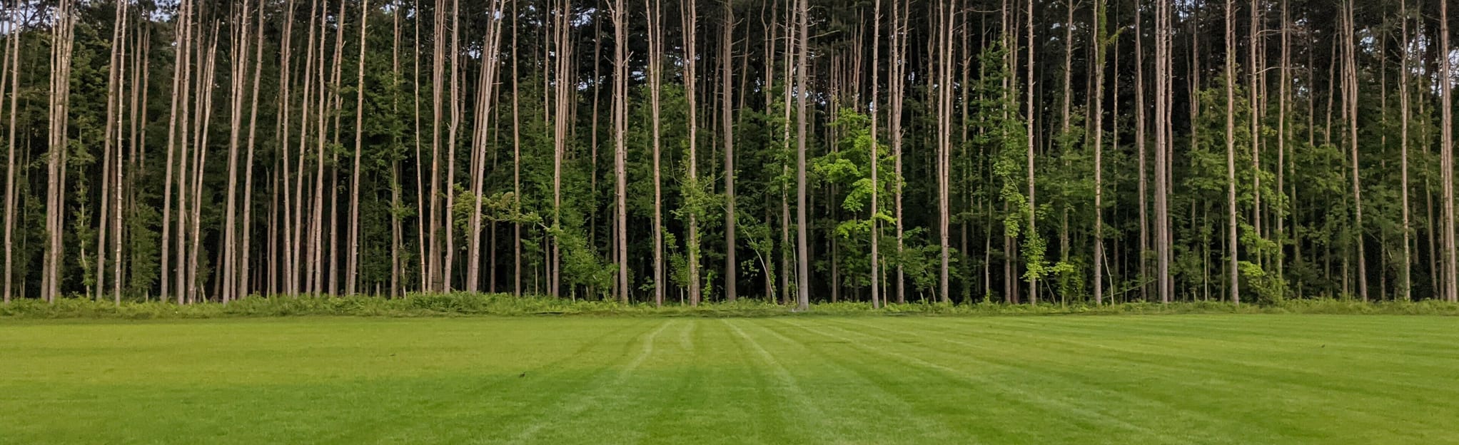 Dodge Park #5 Loop, Michigan - 54 Reviews, Map | AllTrails