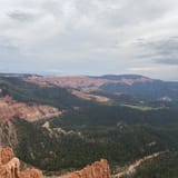 Twisted Forest, Utah - 150 Reviews, Map | AllTrails