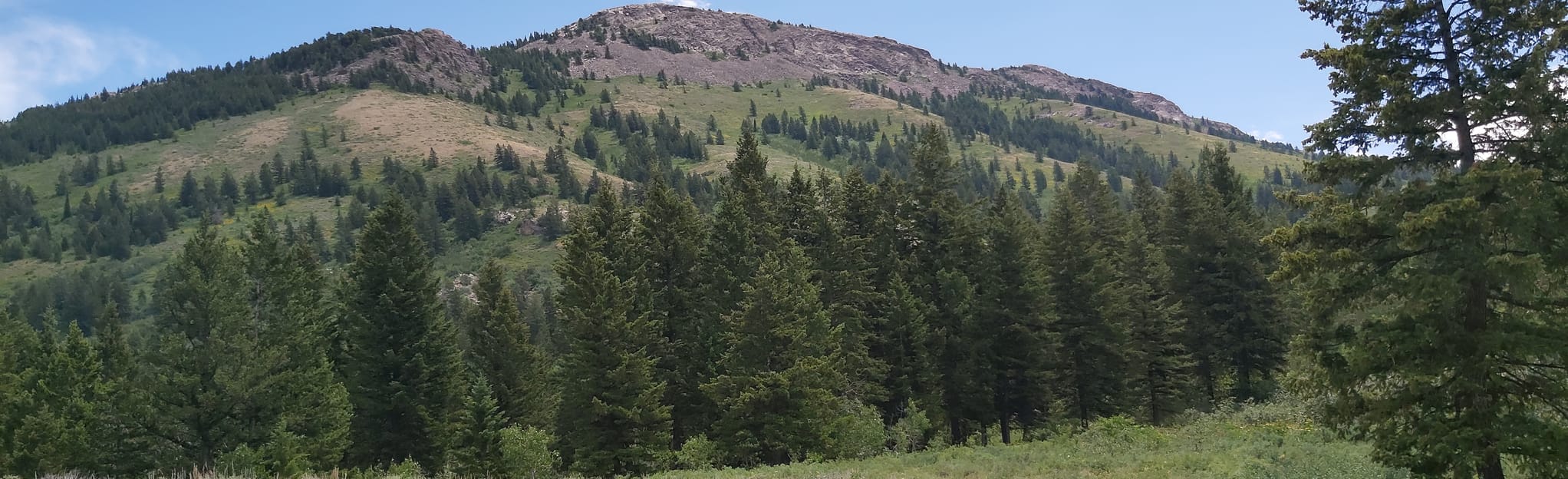 Scout Mountain Nature Trail: 43 Reviews, Map - Idaho | AllTrails