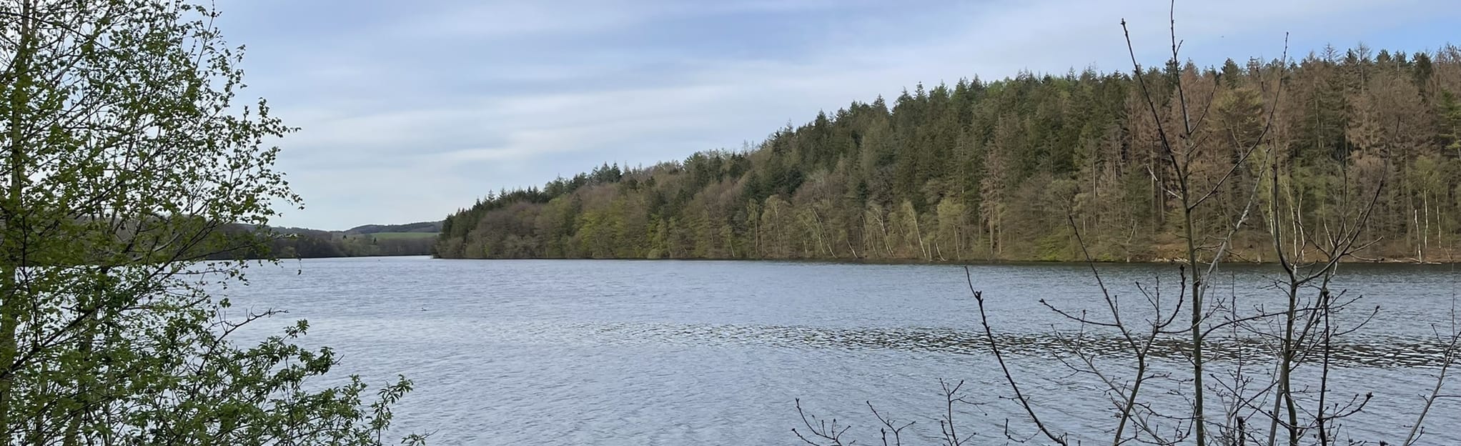 AllTrails | Bevertalsperre Circular: 12 Reviews, Map - North Rhine ...