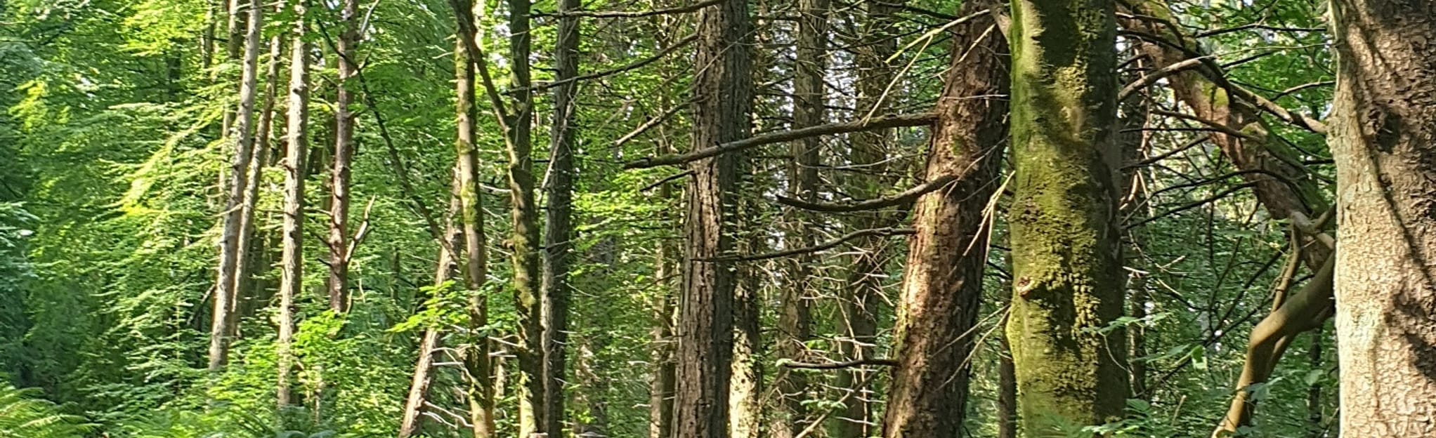 Fathom Circular, Newry, Mourne and Down, Northern Ireland - 23 Reviews ...