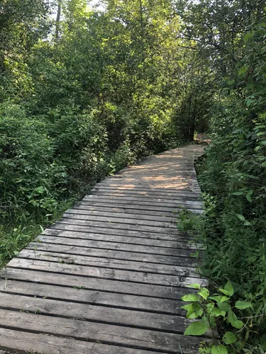10 Best Trails and Hikes in Peterborough | AllTrails