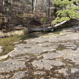 King's Bluff Loop Trail, Arkansas - 335 Reviews, Map | AllTrails