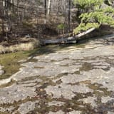 King's Bluff Loop Trail, Arkansas - 339 Reviews, Map | AllTrails