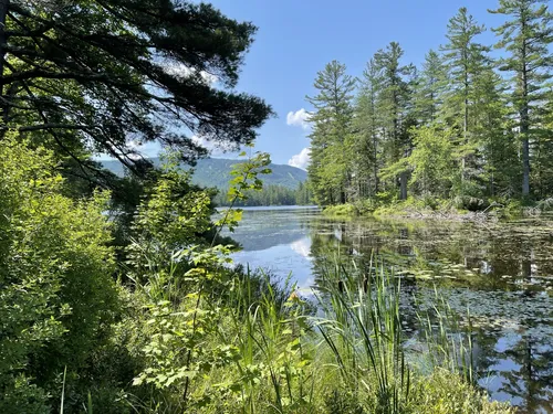 Best Hikes and Trails in Lowell Lake State Park | AllTrails