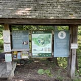 Lindsay-Parsons Biodiversity Preserve Trails, New York - 122 Reviews ...