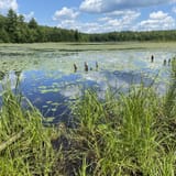 Knight's Pond Preserve , Maine - 229 Reviews, Map | AllTrails