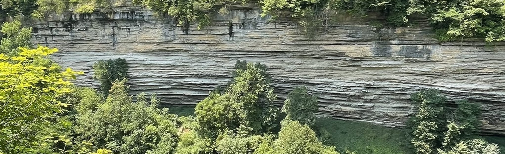 River Trail to Ridgetop Trail, Tennessee - 656 Reviews, Map | AllTrails