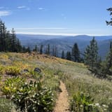 South Wedge Mountain Trail, Washington - 252 Reviews, Map | AllTrails
