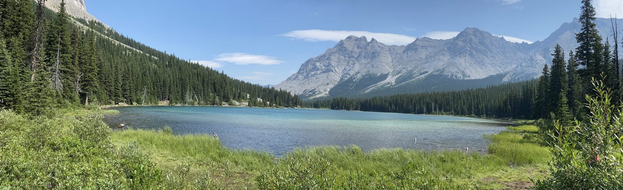 Rae Lake, Alberta, Canada - 256 Reviews, Map | AllTrails