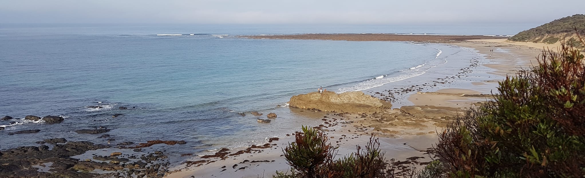 Cape Paterson Loop: 5 Reviews, Map - Victoria, Australia | AllTrails