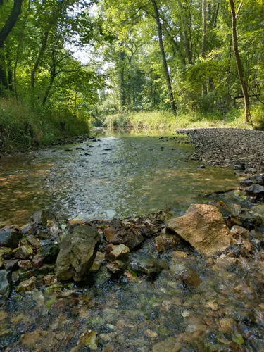 Best Hikes and Trails in Forest 44 Conservation Area | AllTrails