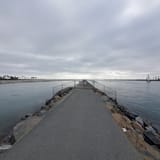 Old Sea World Drive Bay Trail, California - 202 Reviews, Map | AllTrails