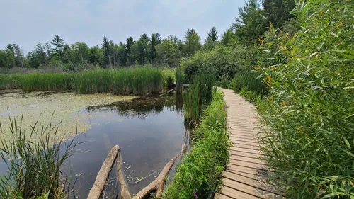 10 Best Trails and Hikes in Ottawa | AllTrails