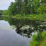 Bowers Spring and Bare Hill Trail, Massachusetts - 496 Reviews, Map ...