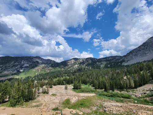 10 Best Hikes and Trails in Uinta-Wasatch-Cache National Forest | AllTrails