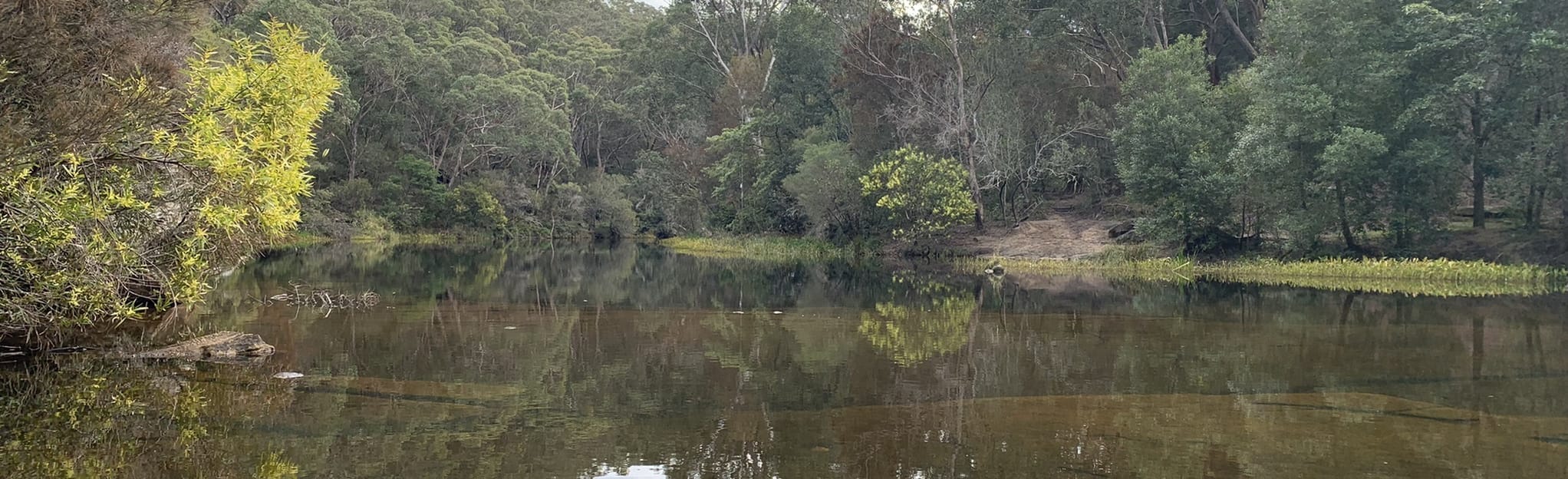 Barden Ridge via The Needles: 16 Reviews, Map - New South Wales ...