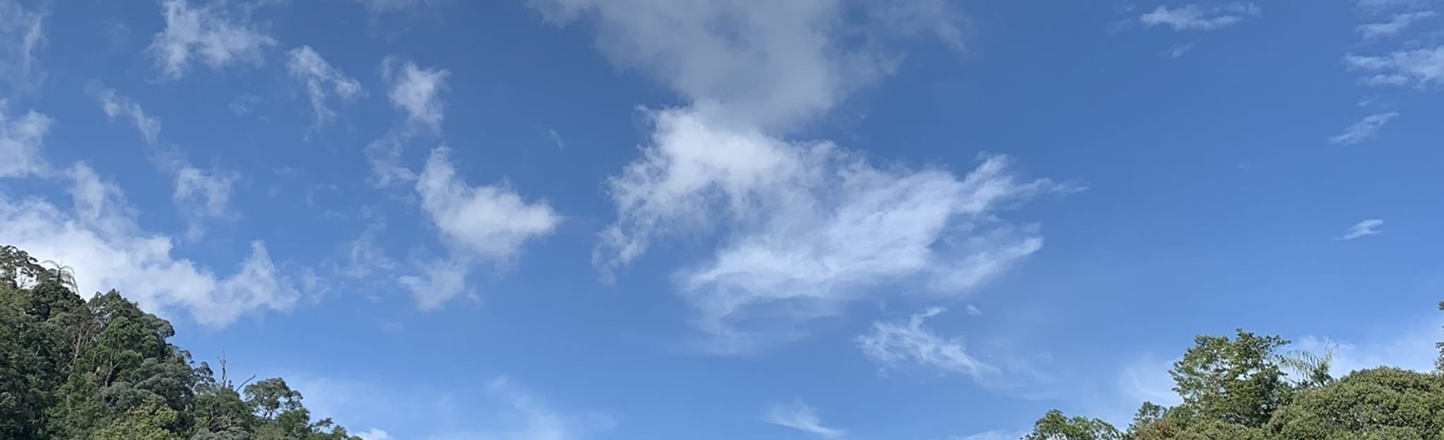 Laksamana Hill via Air Hitam Dam, 269 Fotos - Penang, Malaysia | AllTrails