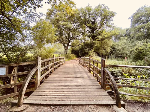 10 Best Easy Trails in High Weald National Landscape (AONB) | AllTrails