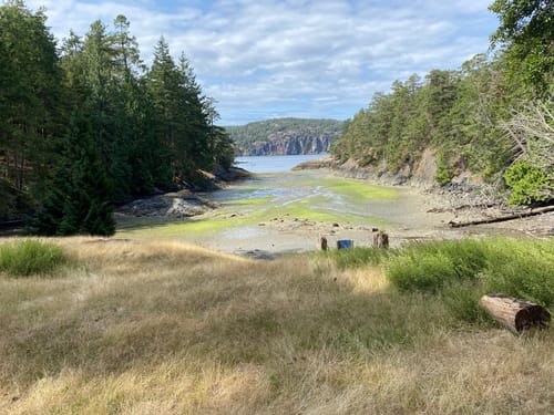Best Hikes and Trails in Jedediah Island Marine Provincial Park | AllTrails