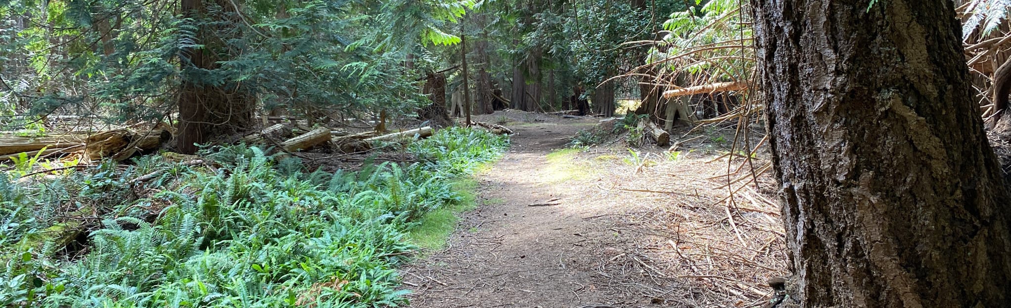 AllTrails | Jedediah Island: Deep Bay to Home Bay: 10 Reviews, Map ...