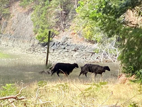 Best Hikes and Trails in Jedediah Island Marine Provincial Park | AllTrails
