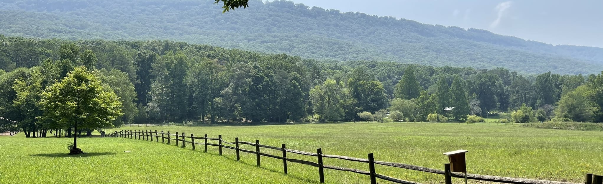 Reflection Riding Arboretum Lookout Creek Trail, Tennessee - 312 ...
