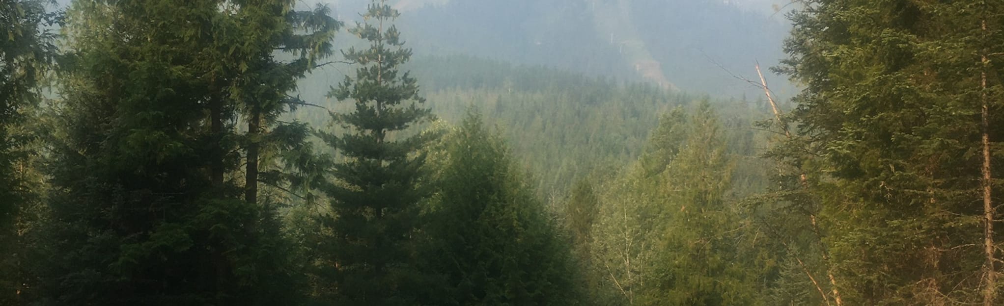 Galloway Loop, British Columbia, Canada - 16 Reviews, Map | AllTrails