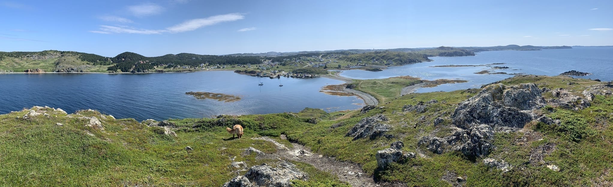 Battrick's Island: 17 Reviews, Map - Newfoundland and Labrador, Canada ...