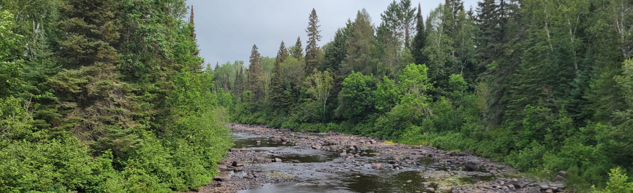 Heart Break Hill Loop, Minnesota - 3 Reviews, Map | AllTrails