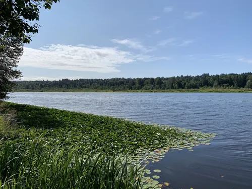 Best Views Trails in Burnaby Lake Regional Park | AllTrails