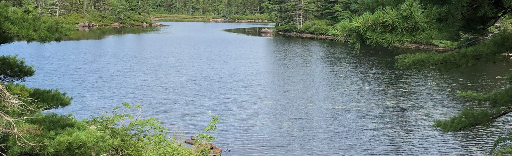 Bell Park Loop, Nova Scotia, Canada - 101 Reviews, Map | AllTrails