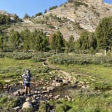 Ruby Crest Trail, Nevada - 96 Reviews, Map | AllTrails