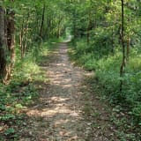 Paul Ruster Trail, Indiana - 200 Reviews, Map | AllTrails