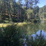 Killarney Lake Loop , British Columbia, Canada - 339 Reviews, Map ...