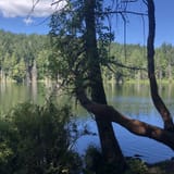 Killarney Lake Loop , British Columbia, Canada - 339 Reviews, Map ...