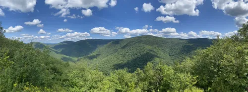 10 Best Hikes and Trails in Mount Greylock State Reservation | AllTrails