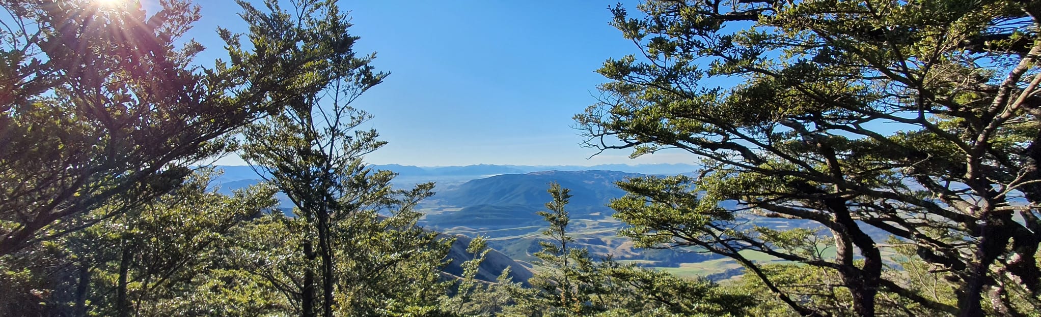 Mount Grey and Maukatere Loop, Canterbury, New Zealand - 66 Reviews ...