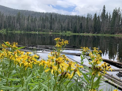 2023 Best 10 Long Trails in Tererro | AllTrails